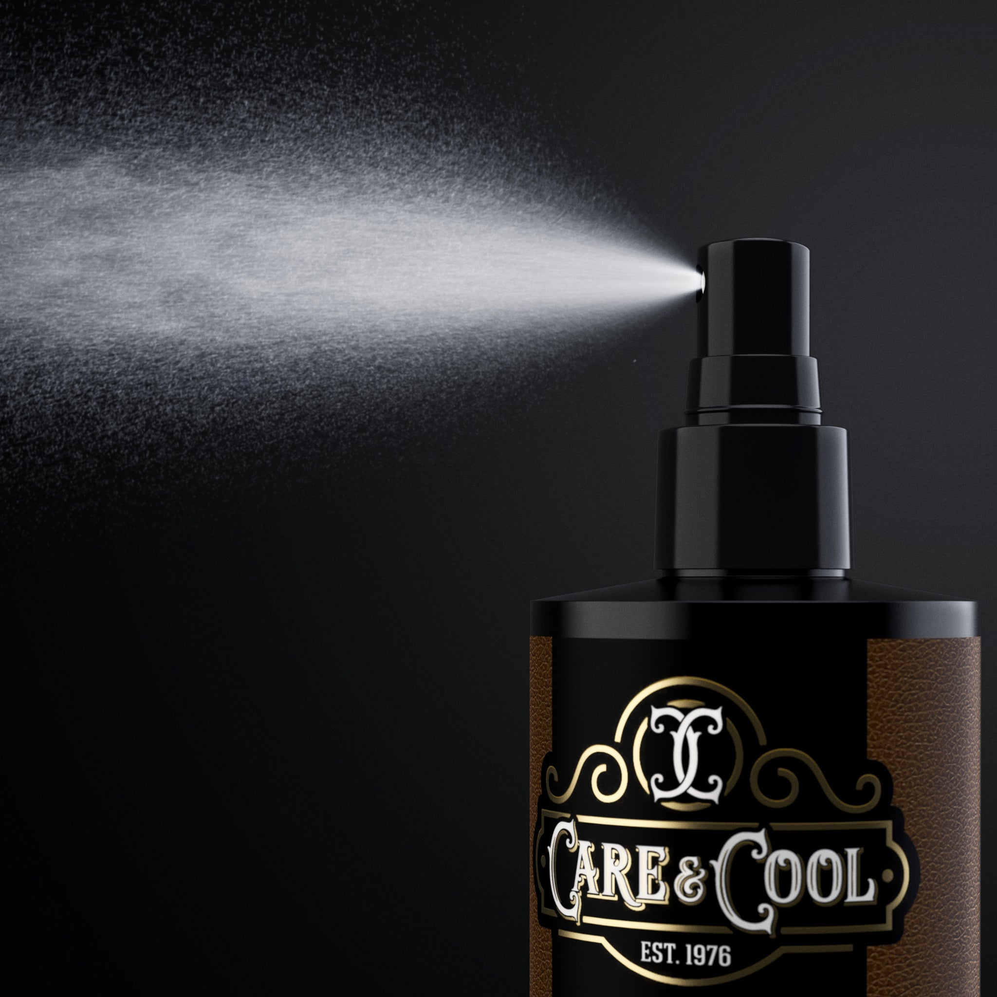 Suede and Nubuck Protector – careandcool.com